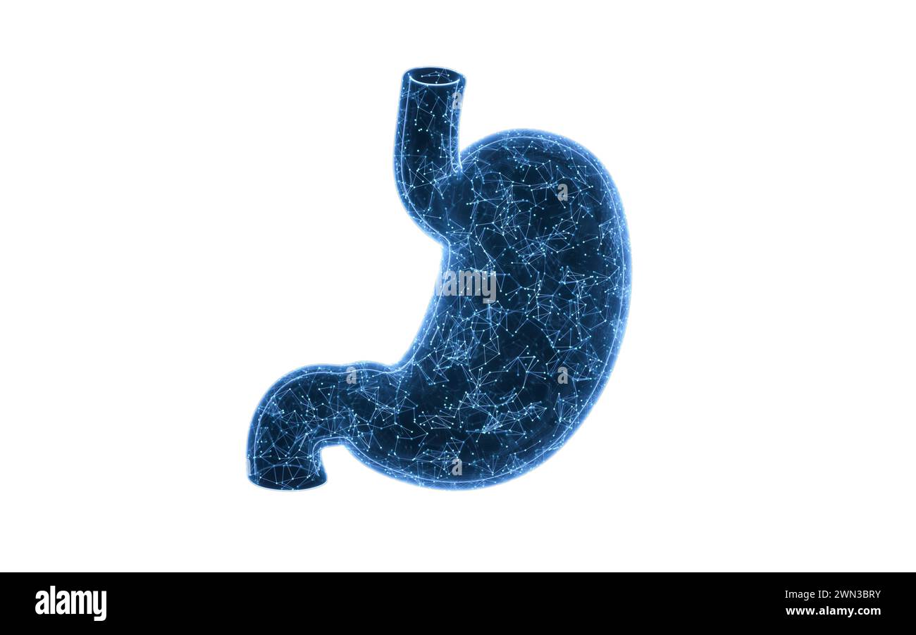Stomach with blue technology structure, 3d rendering. 3D illustration ...