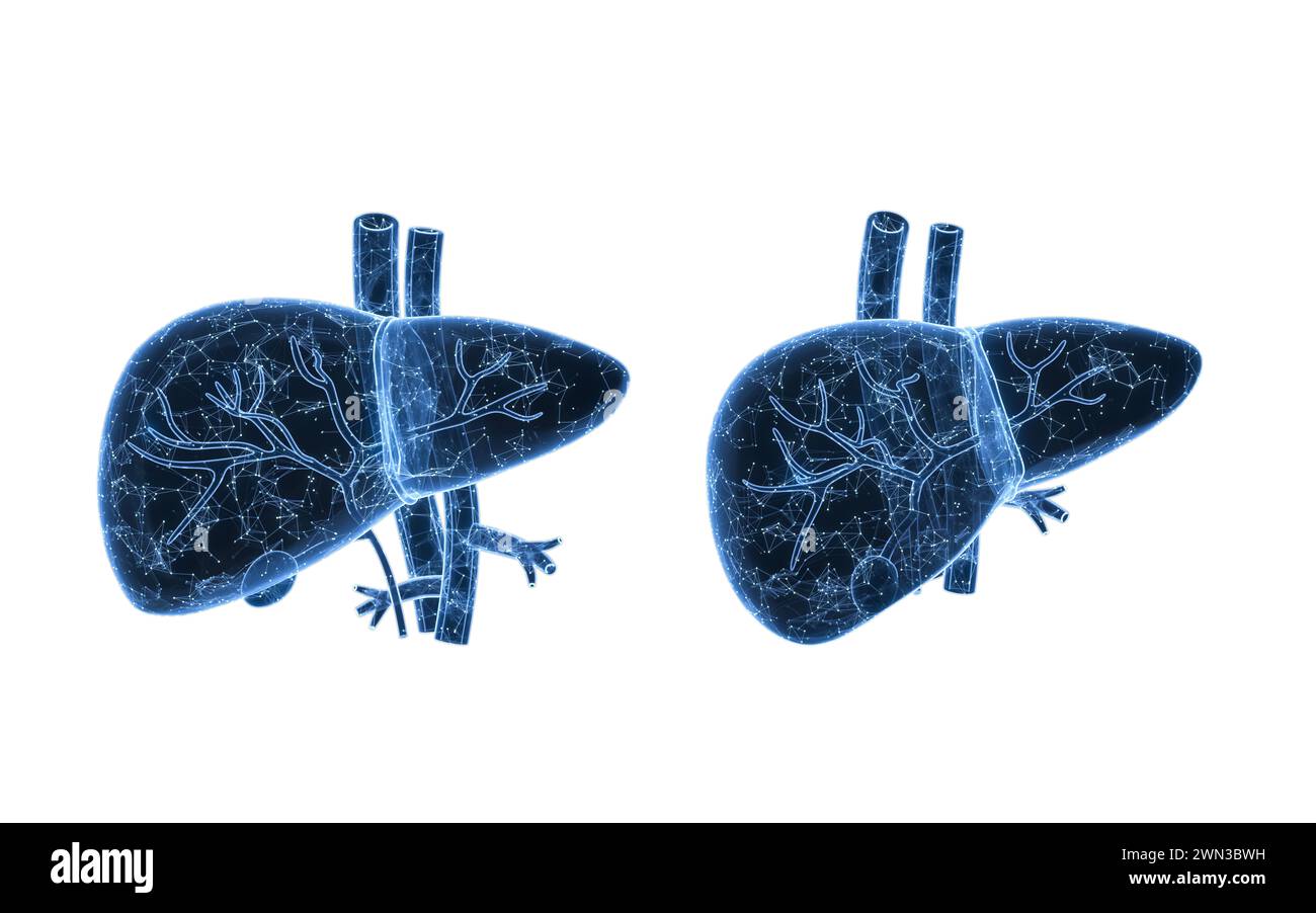 Liver organ with health care concept, 3d rendering. 3D illustration ...