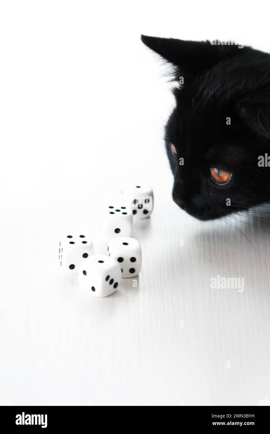 Fur dice hi-res stock photography and images - Alamy