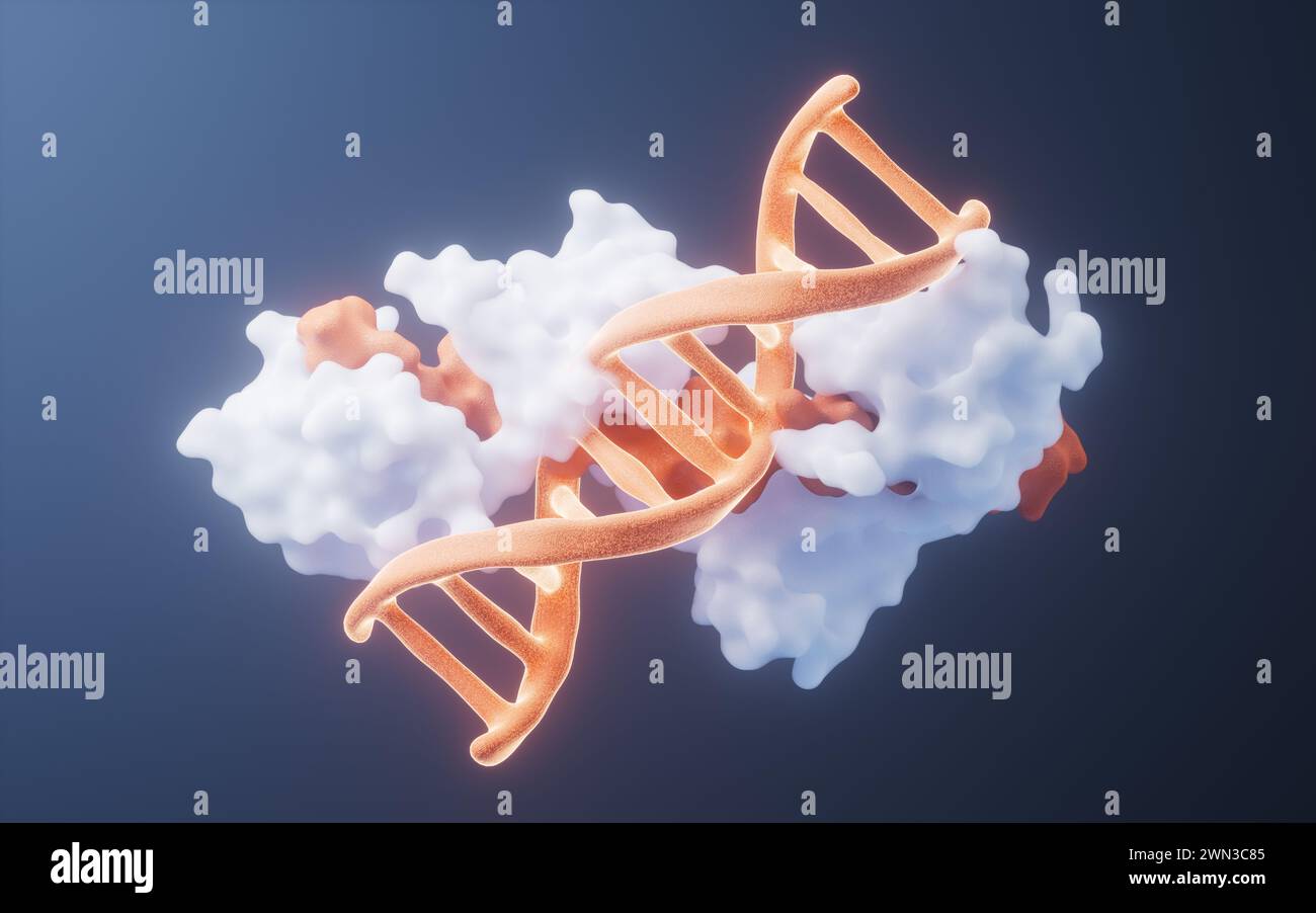 DNA and protein with biological concept, 3d rendering. 3D illustration ...
