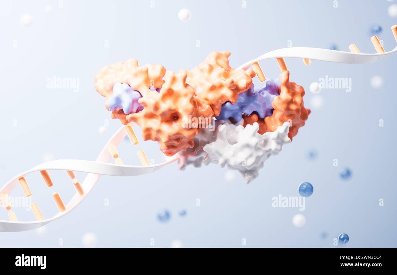 DNA and protein with biological concept, 3d rendering. 3D illustration ...