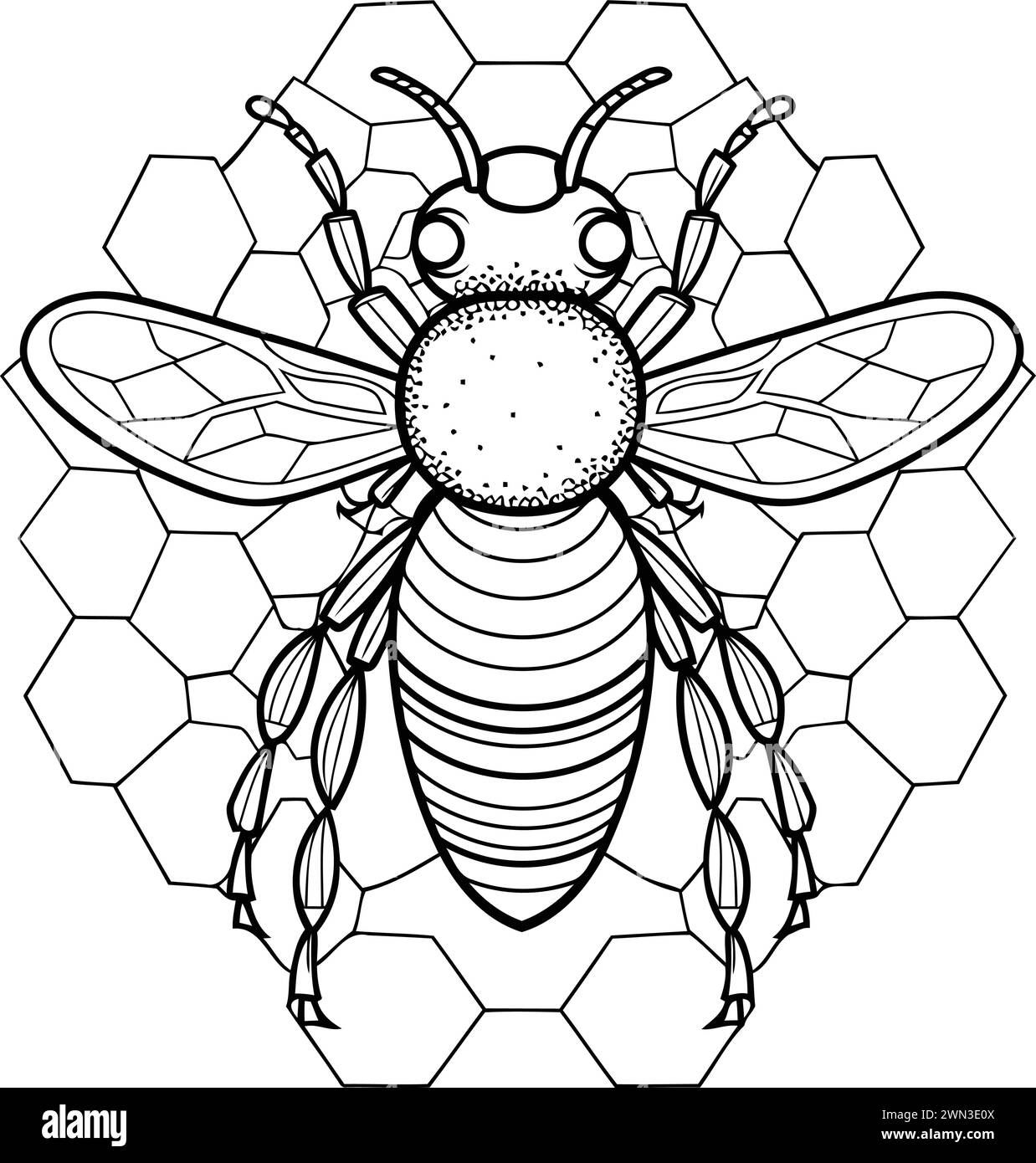 Honey bee coloring book for adults vector illustration. Black and white ...