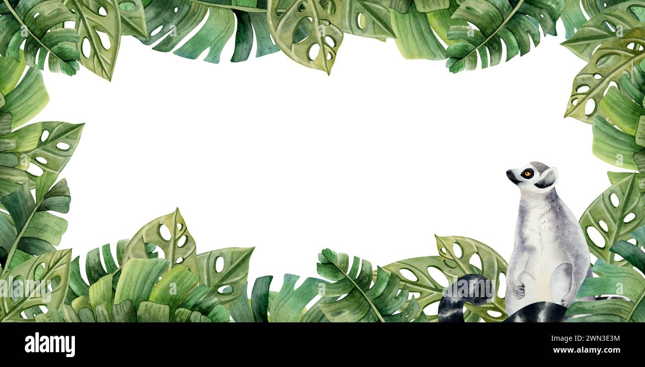Tropical horizontal banner template with palm leaves and ring tailed ...
