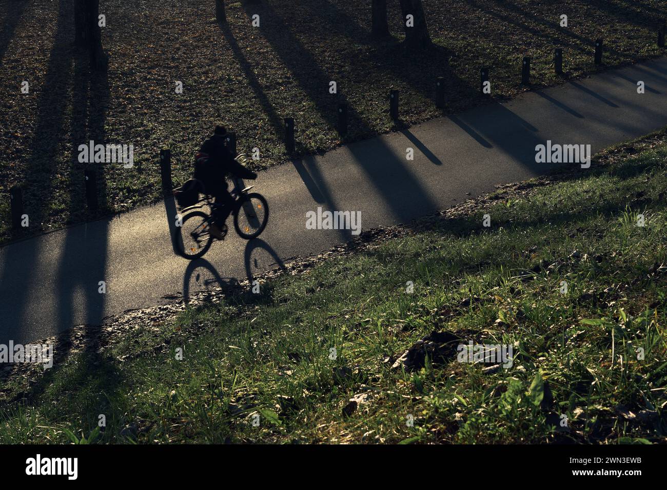 Shadows under a tree hi-res stock photography and images - Alamy