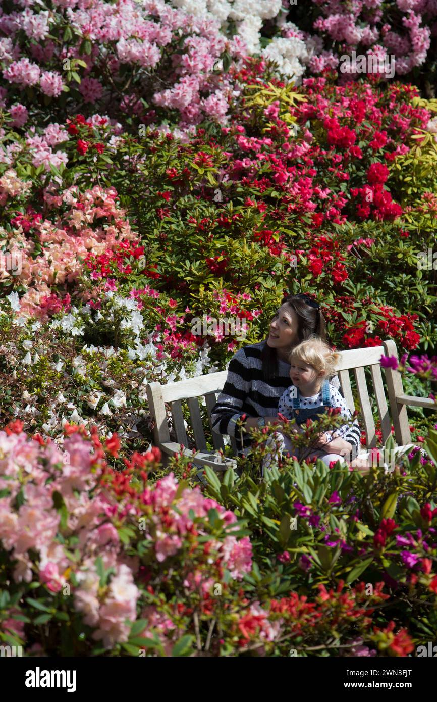 22/05/16 Holly Jozefiak and two-year-old daughter Ophelia Jozefiak from ...