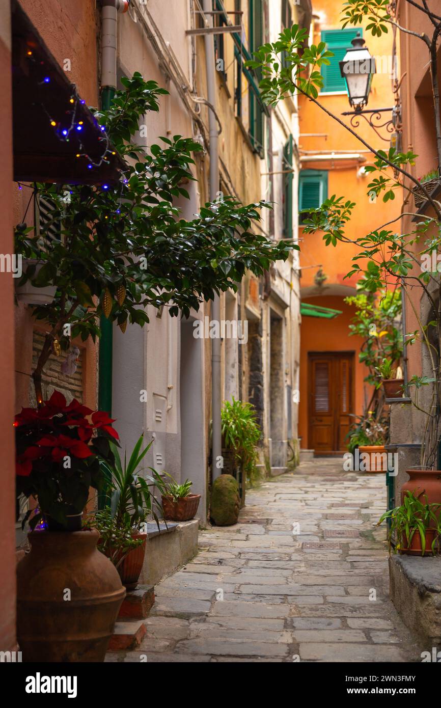 the beautiful narrow alley/street with plants and colorful house in Cinque Terre, Italy Stock ...