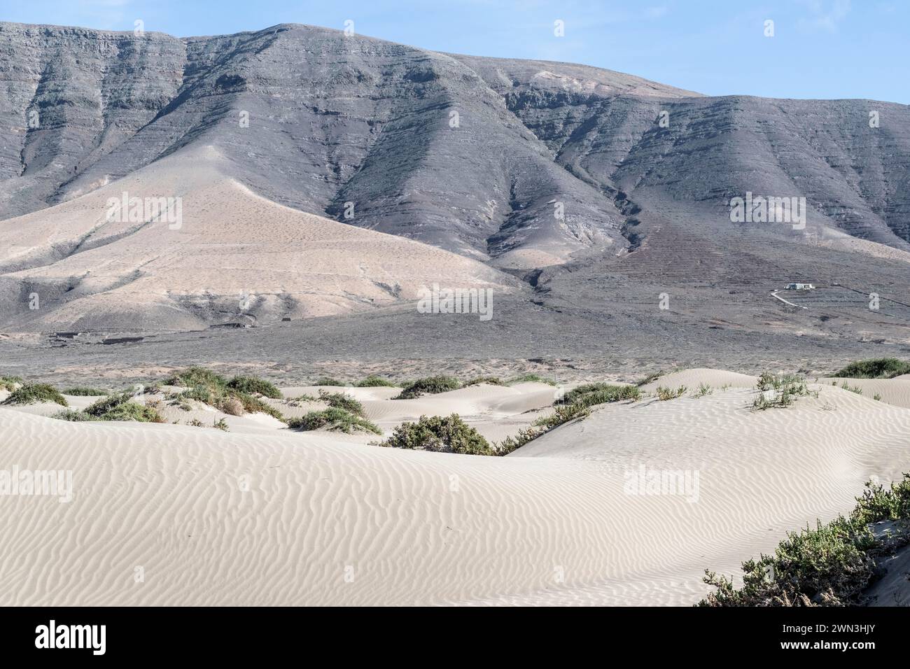 Dune landscape, Playa de Famara, Lanzarote, Canary Islands, Spain Stock ...