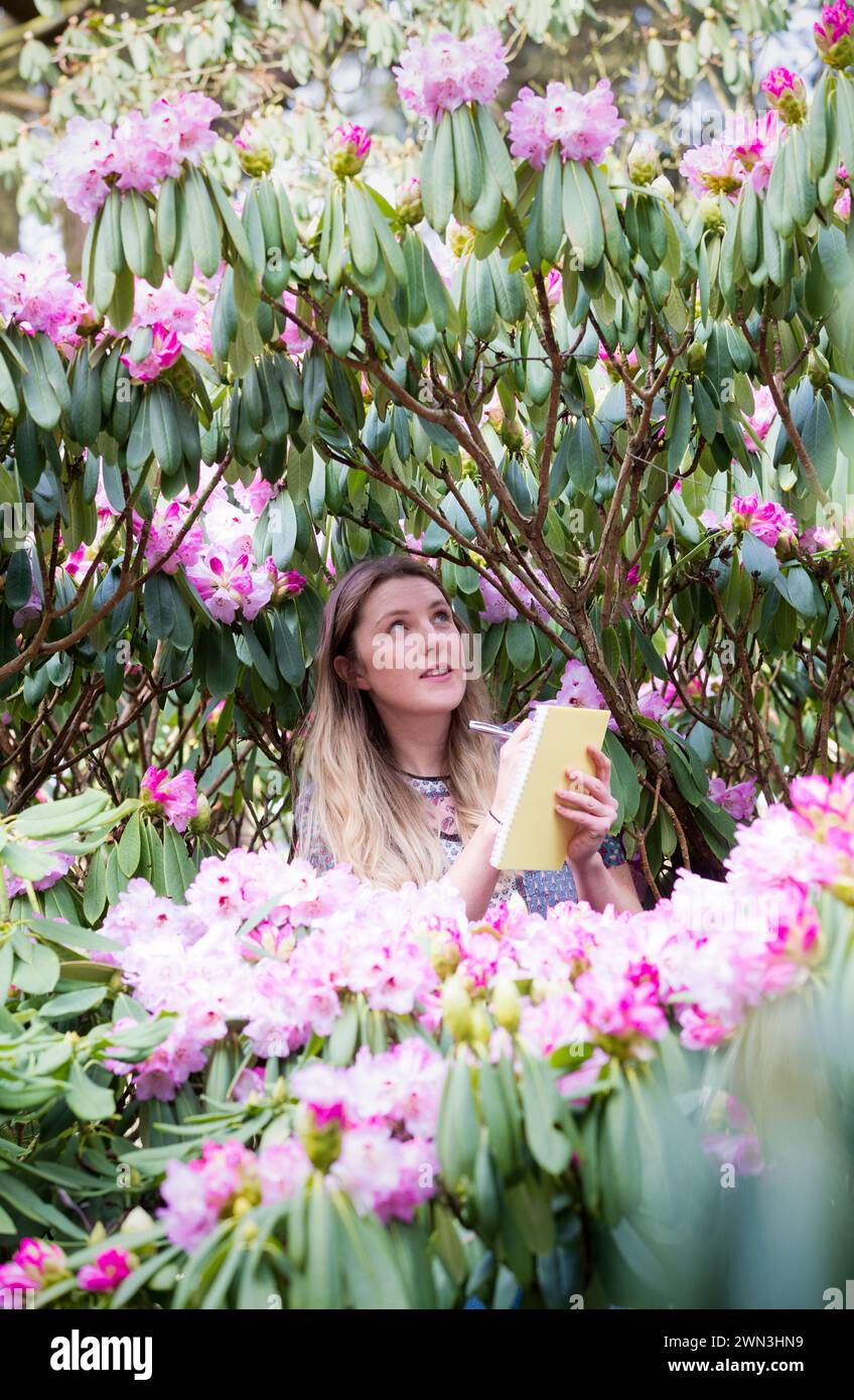 22/01/19 Garden curator Rebecca Emery (26) records the early flowering ...