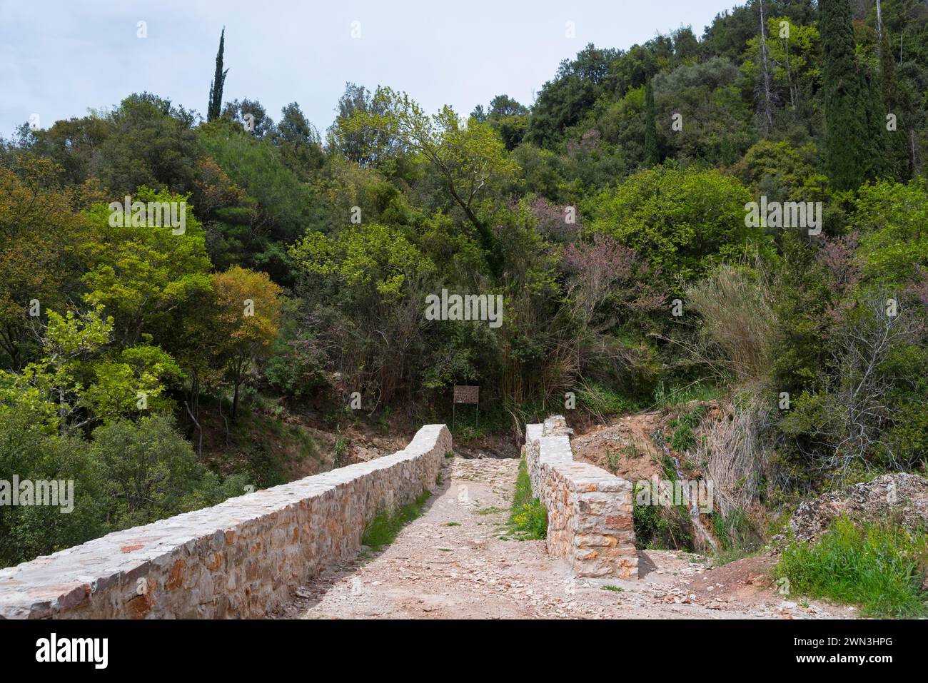 Paved path over an old stone bridge with a view into a dense forest ...