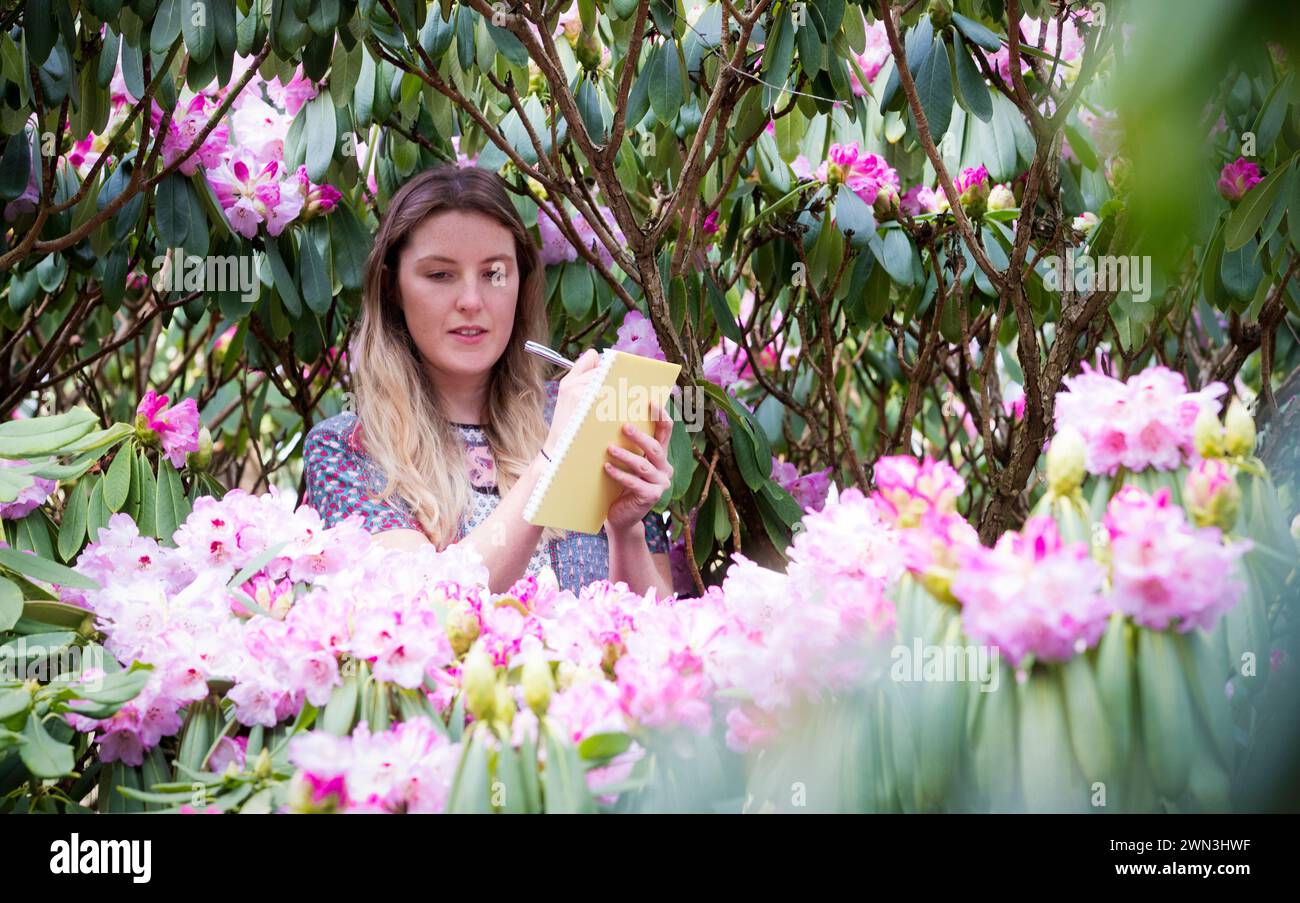 22/01/19 Garden curator Rebecca Emery (26) records the early flowering ...