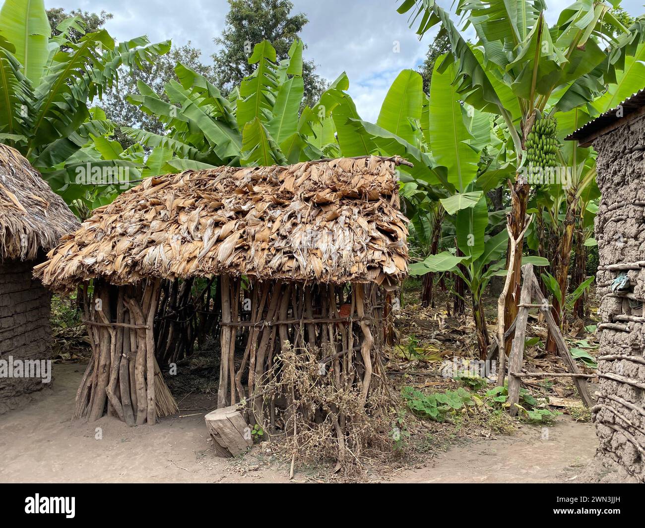 Little house made out of wood and banana leaves where actual people ...