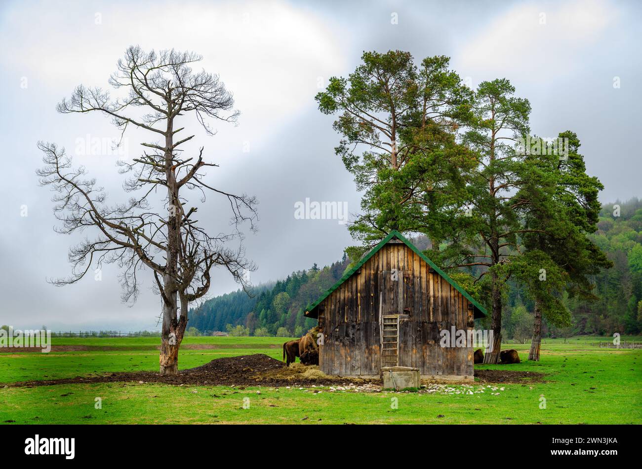 Pastoral setting hi-res stock photography and images - Alamy