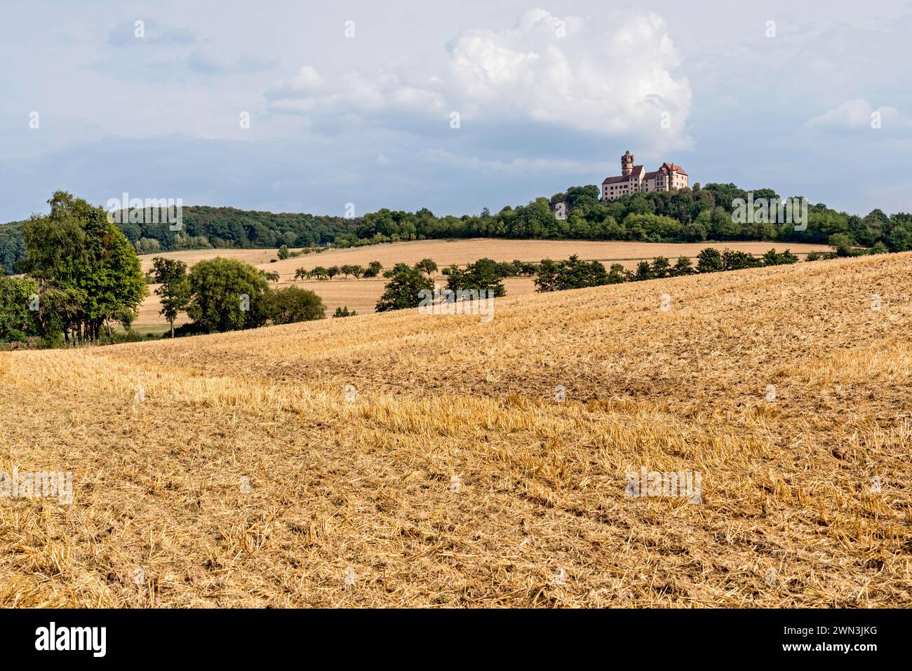 Ronneburg Castle, knight's castle from the Middle Ages, harvested grain ...