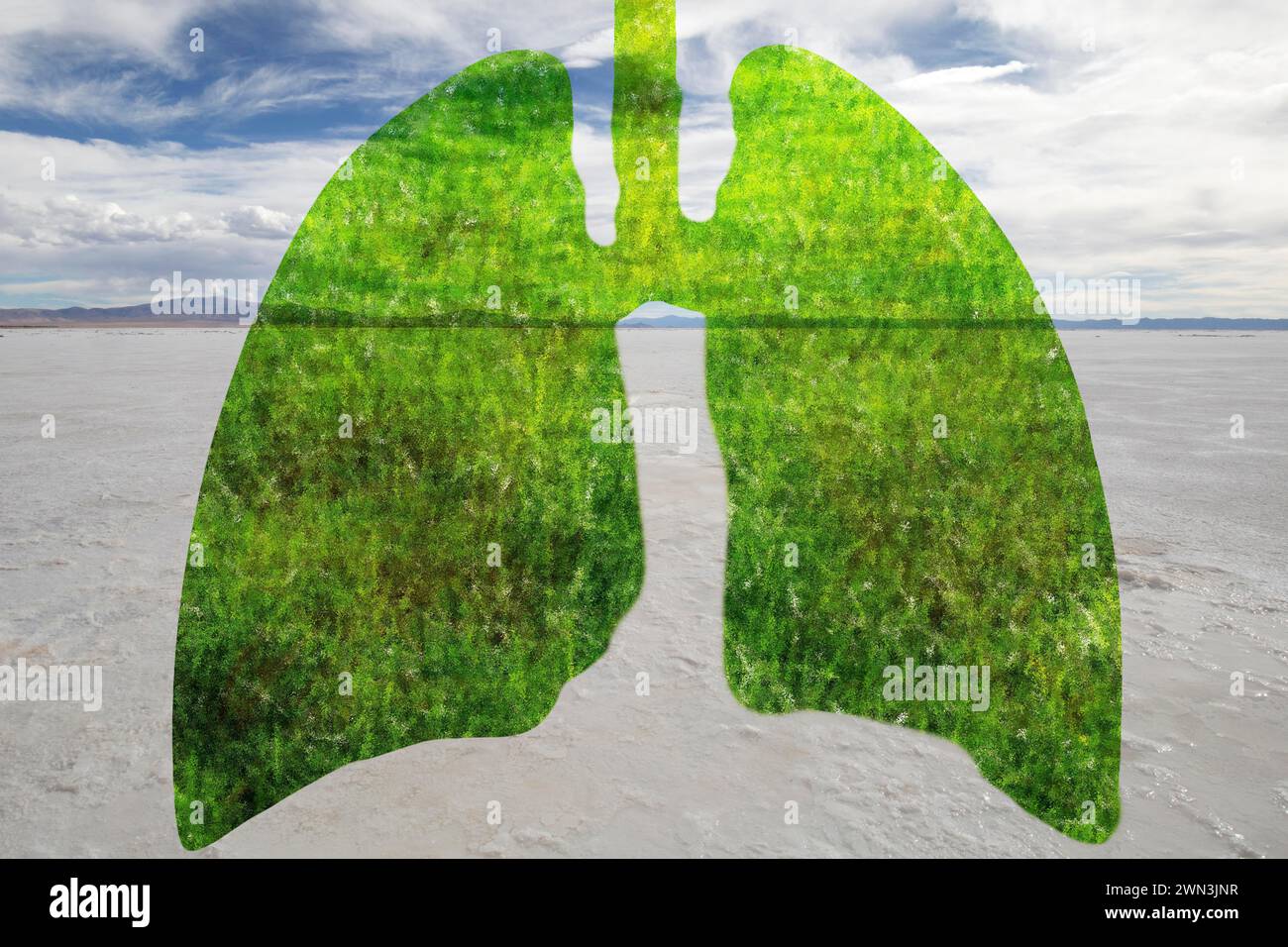 Illustration for climate protection lung with grass and the background ...