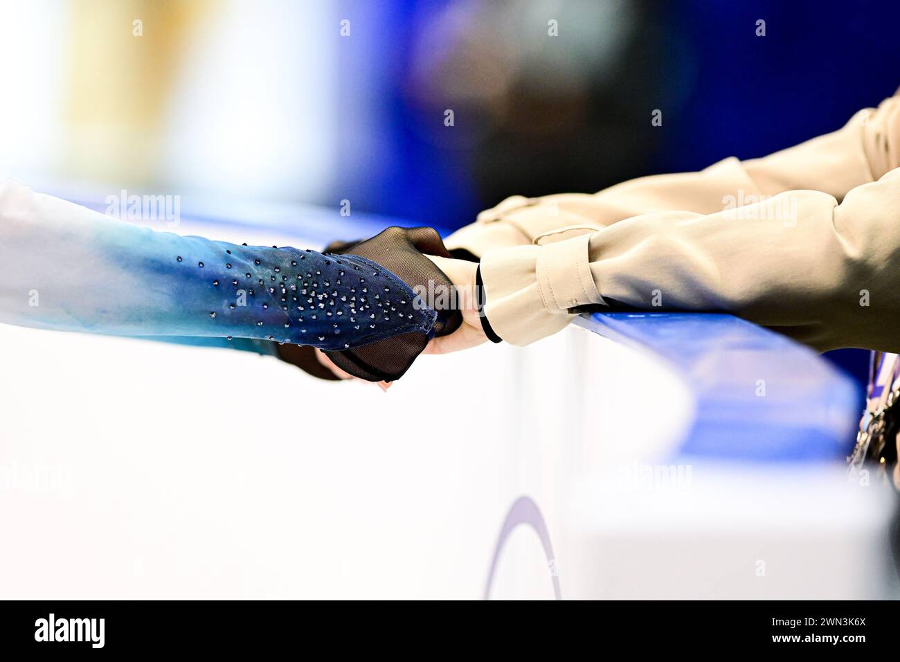 Arlet levandi hi-res stock photography and images - Alamy