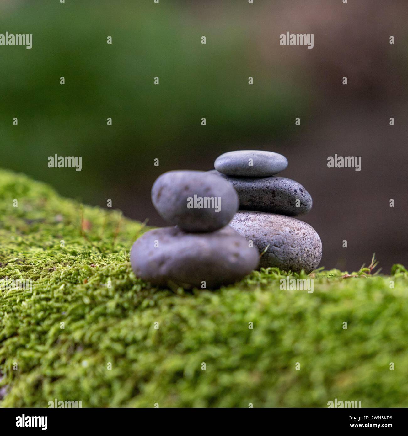 Pebbles on a tree branch Stock Photo - Alamy