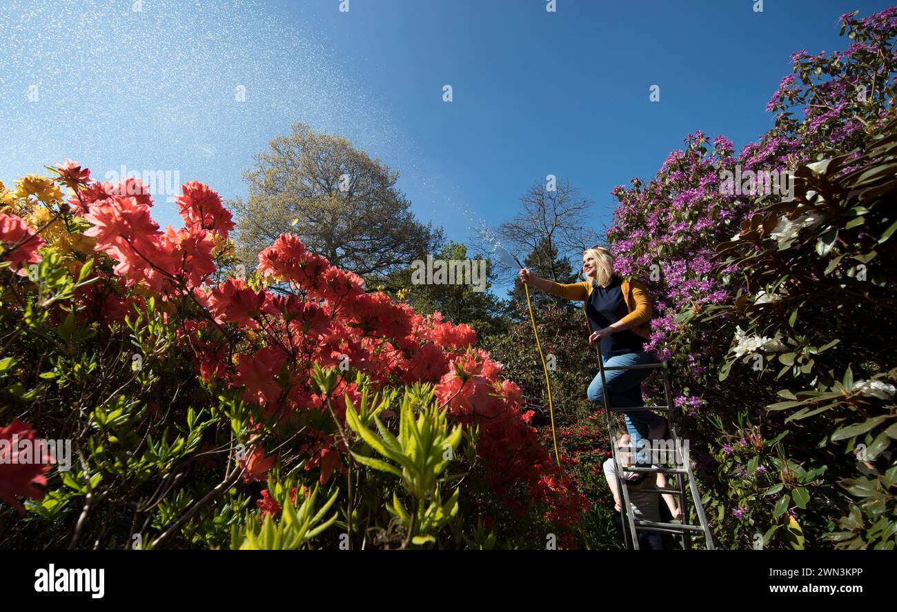 10/05/17 After six weeks without significant rainfall Vanessa ...