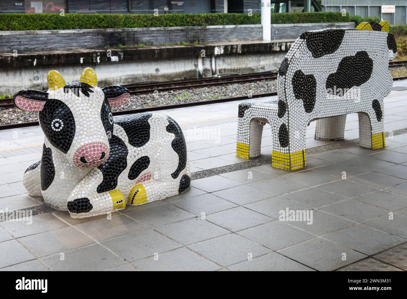 Cow station and train hi-res stock photography and images - Alamy