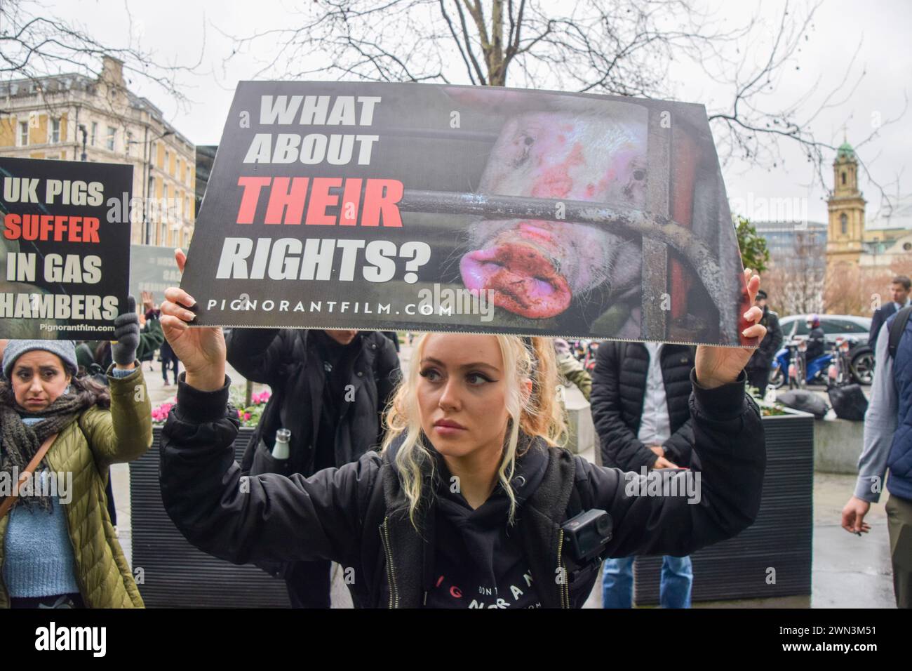Pig cruelty placards hi-res stock photography and images - Alamy