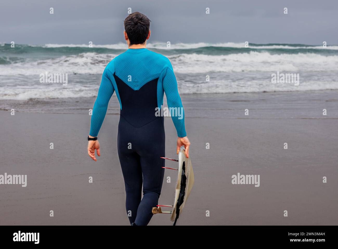 Back view of a male surfer in a blue wetsuit carrying a surfboard ...