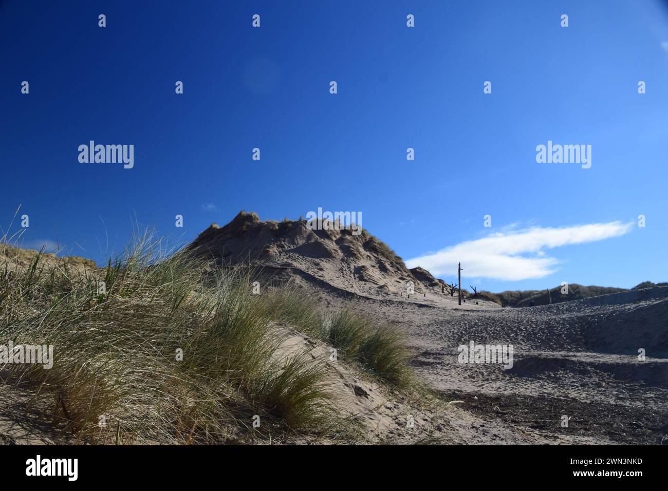 The sand dunes and beach along the Merseyside coast facing onto ...