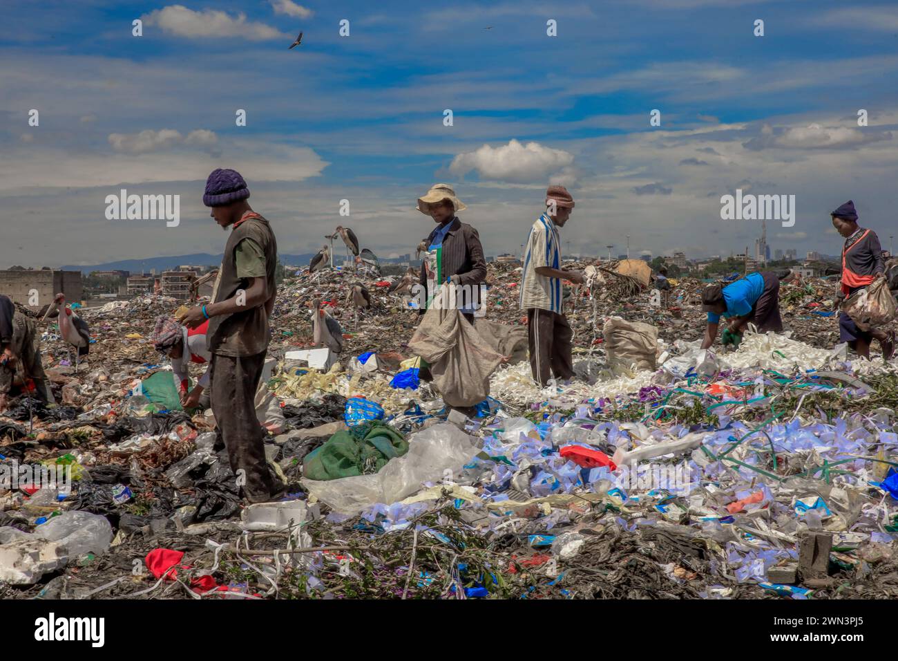 Nairobi, KENYA. 28th Feb, 2024. Waste collectors scavenge for ...