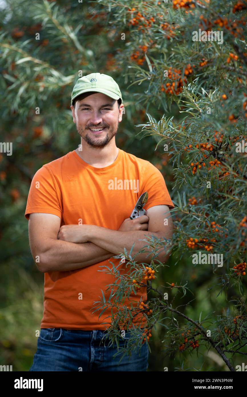 The British Sea Buckthorn Company, Kirby le Soken on the East Essex ...