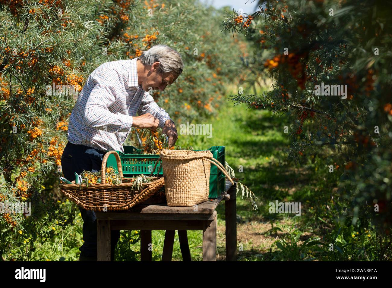11/08/21 Director, David Eagle. A family threatened with losing half ...