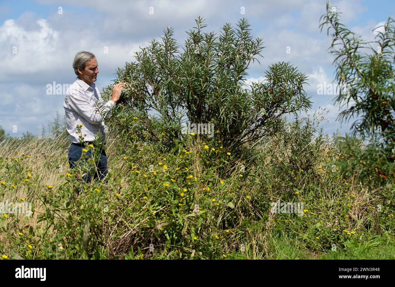 11/08/21 Director, David Eagle with a male plant. A family threatened ...