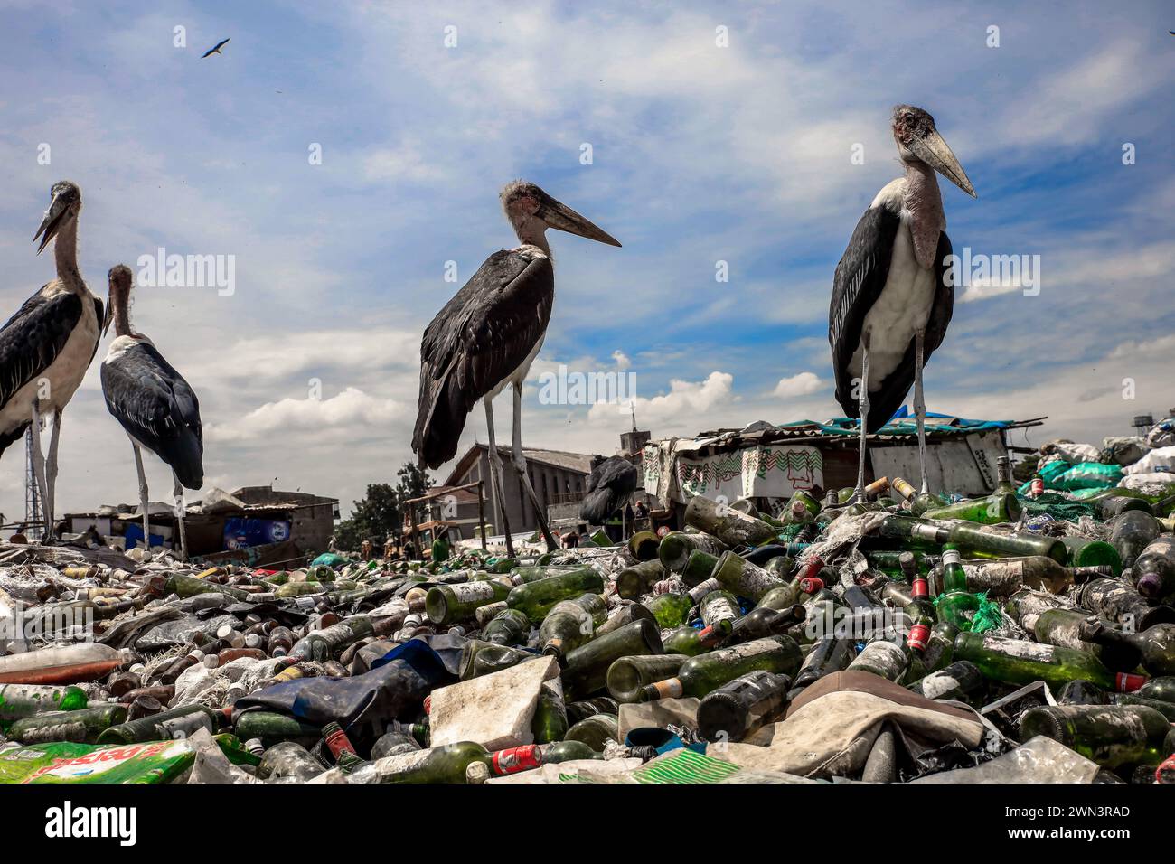 Dandora landfill hi-res stock photography and images - Alamy
