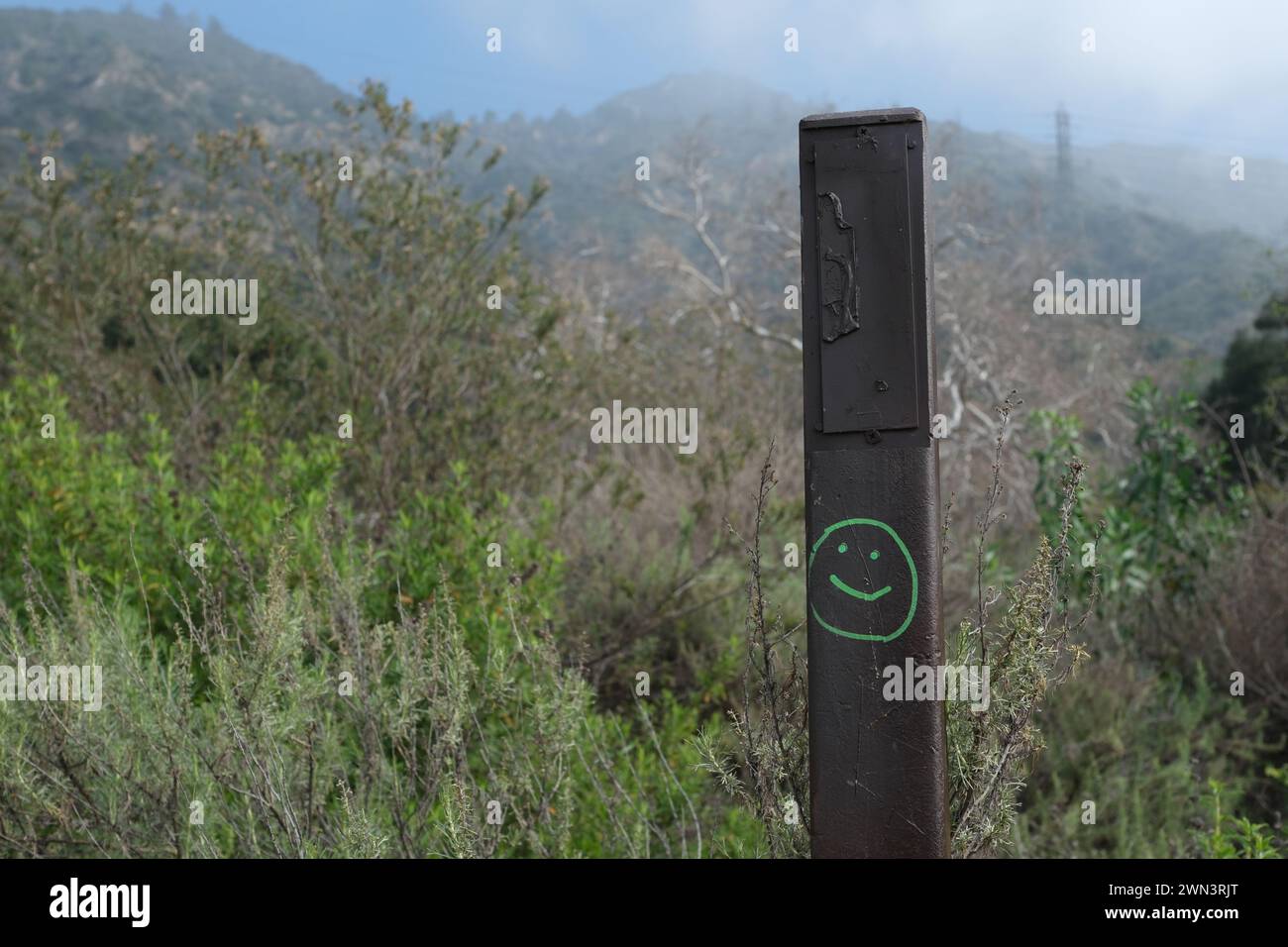 A green smiley face on metal pole in hillside Stock Photo - Alamy