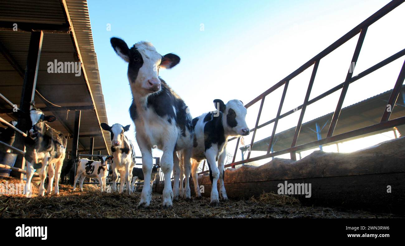 Norbury farm hi-res stock photography and images - Alamy
