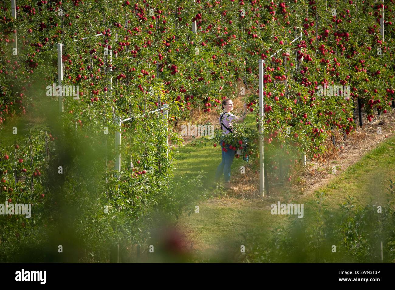 Garla hi-res stock photography and images - Alamy