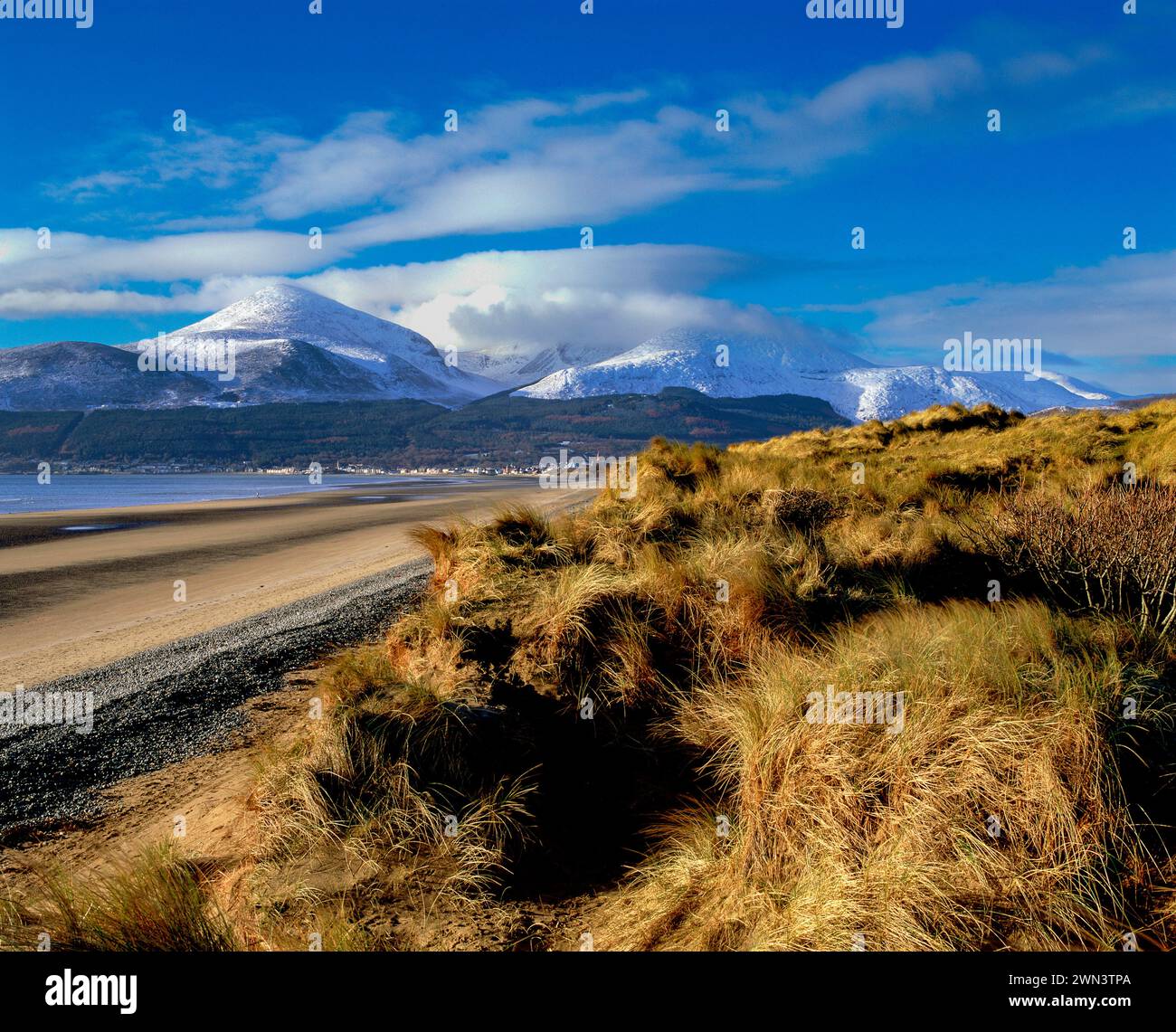 Snow covered Mountains of Mourne, Murlough Nature Reserve, Murlough ...