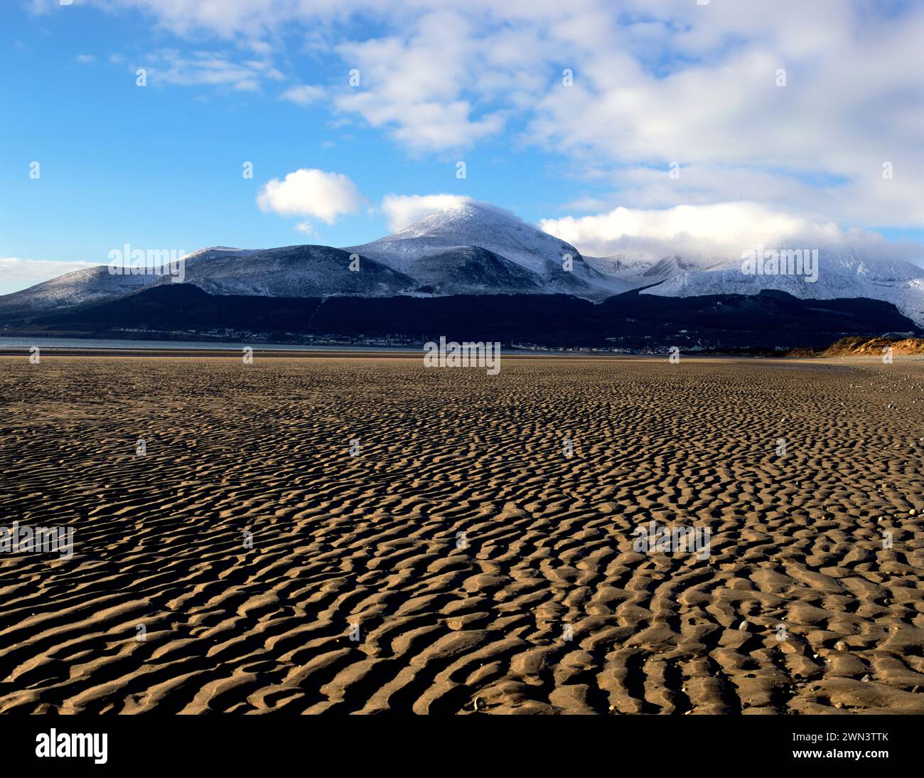 Snow covered Mountains of Mourne, Murlough Nature Reserve, Murlough ...