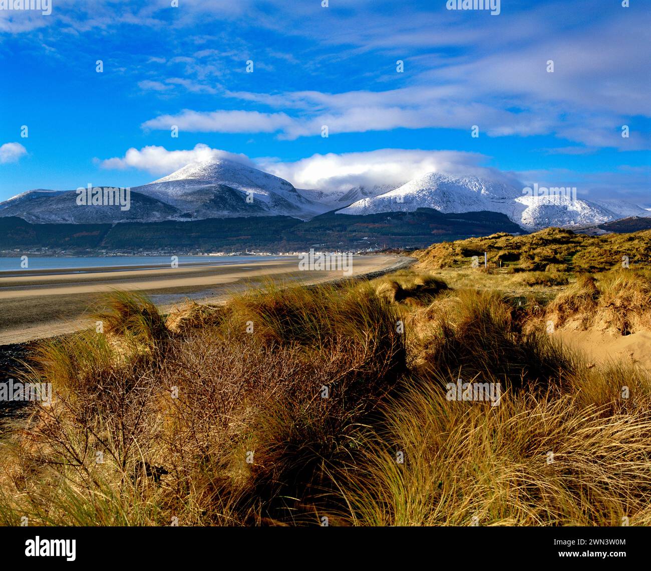 Snow covered Mountains of Mourne, Murlough Nature Reserve, Murlough ...