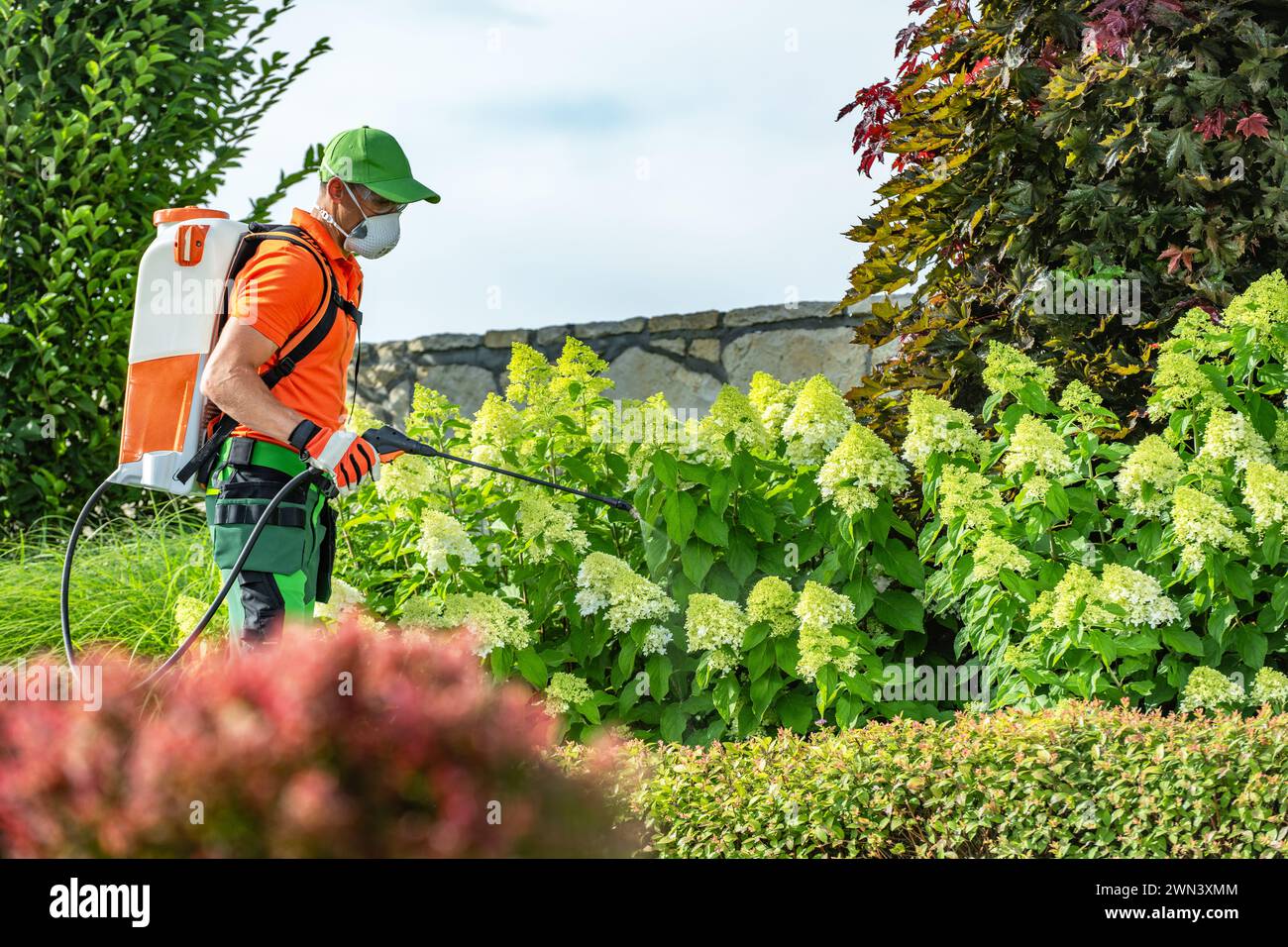 Plants Spraying Insecticide Work in a Garden. Gardening and Landscaping ...