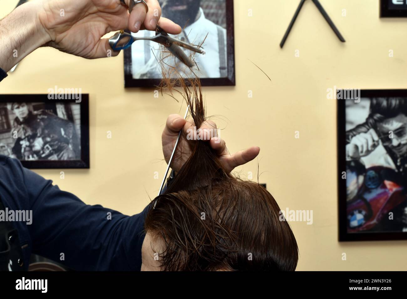 A hairdresser quickly and chaotically cuts the hair on a woman's head ...