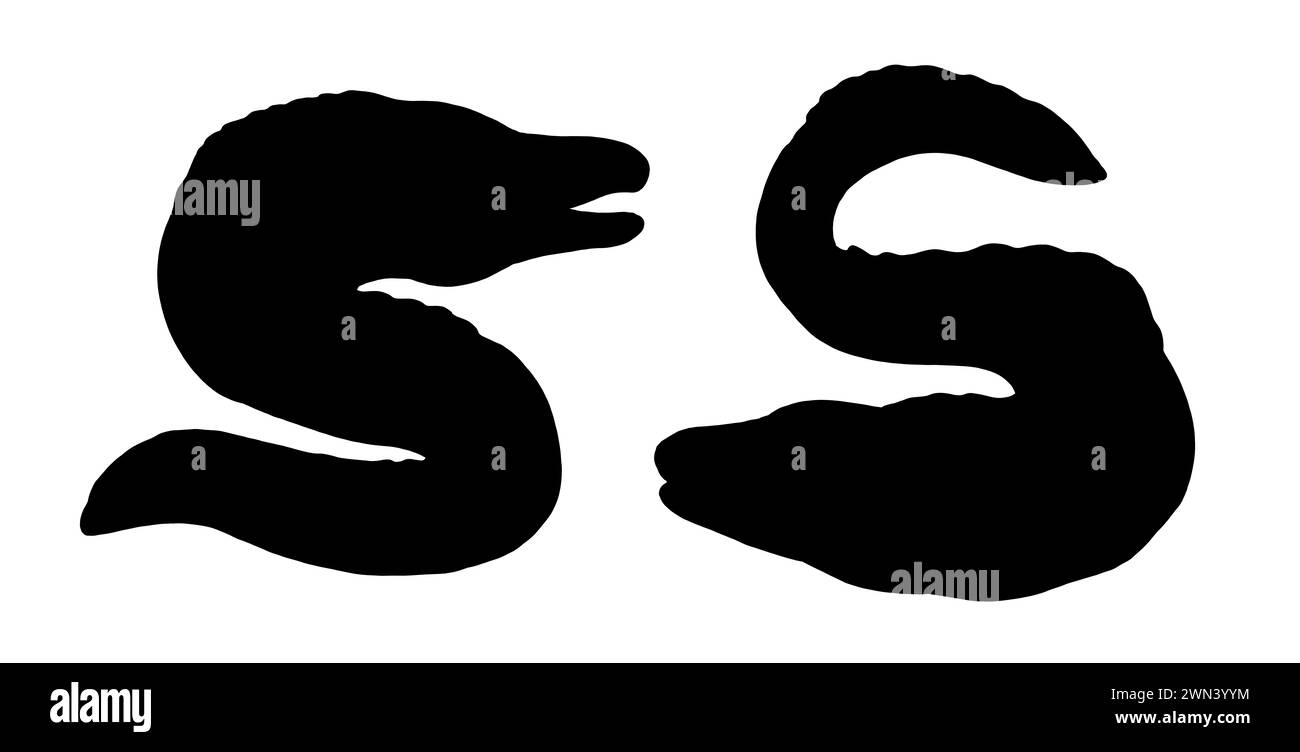 Silhouette of moray eel. Drawing with sea fish. Template to cut out ...