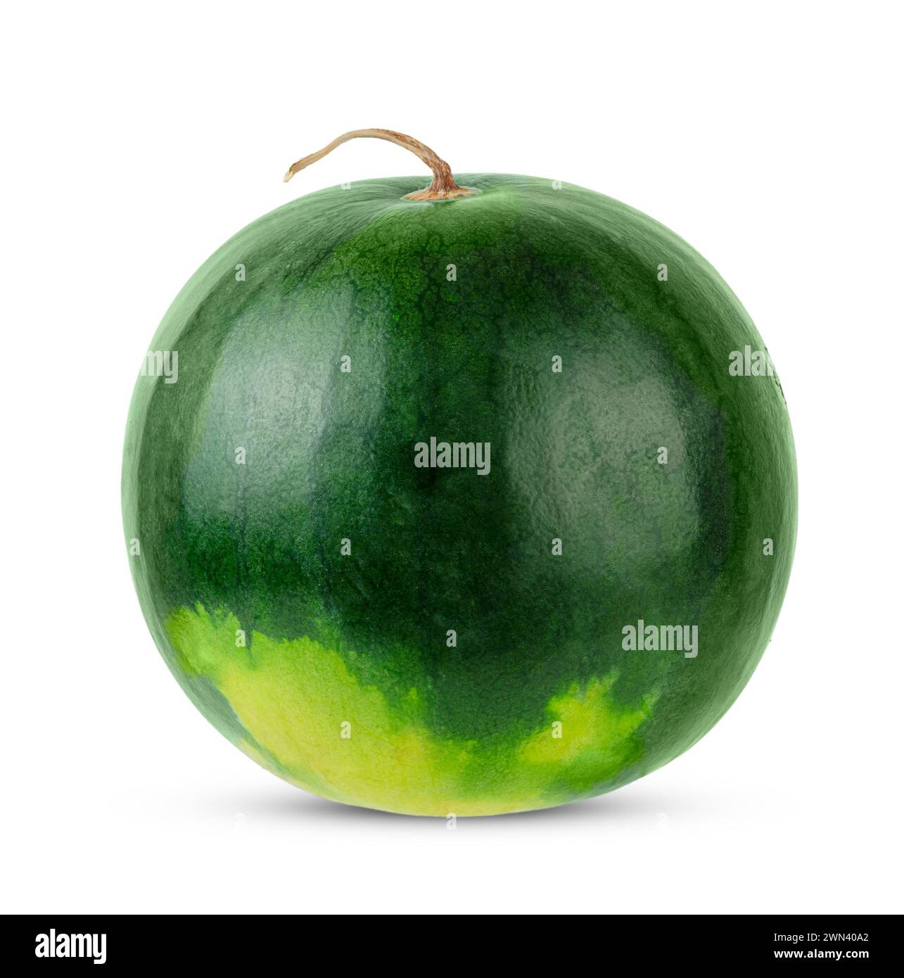 Whole green watermelon isolated on white background with clipping path ...