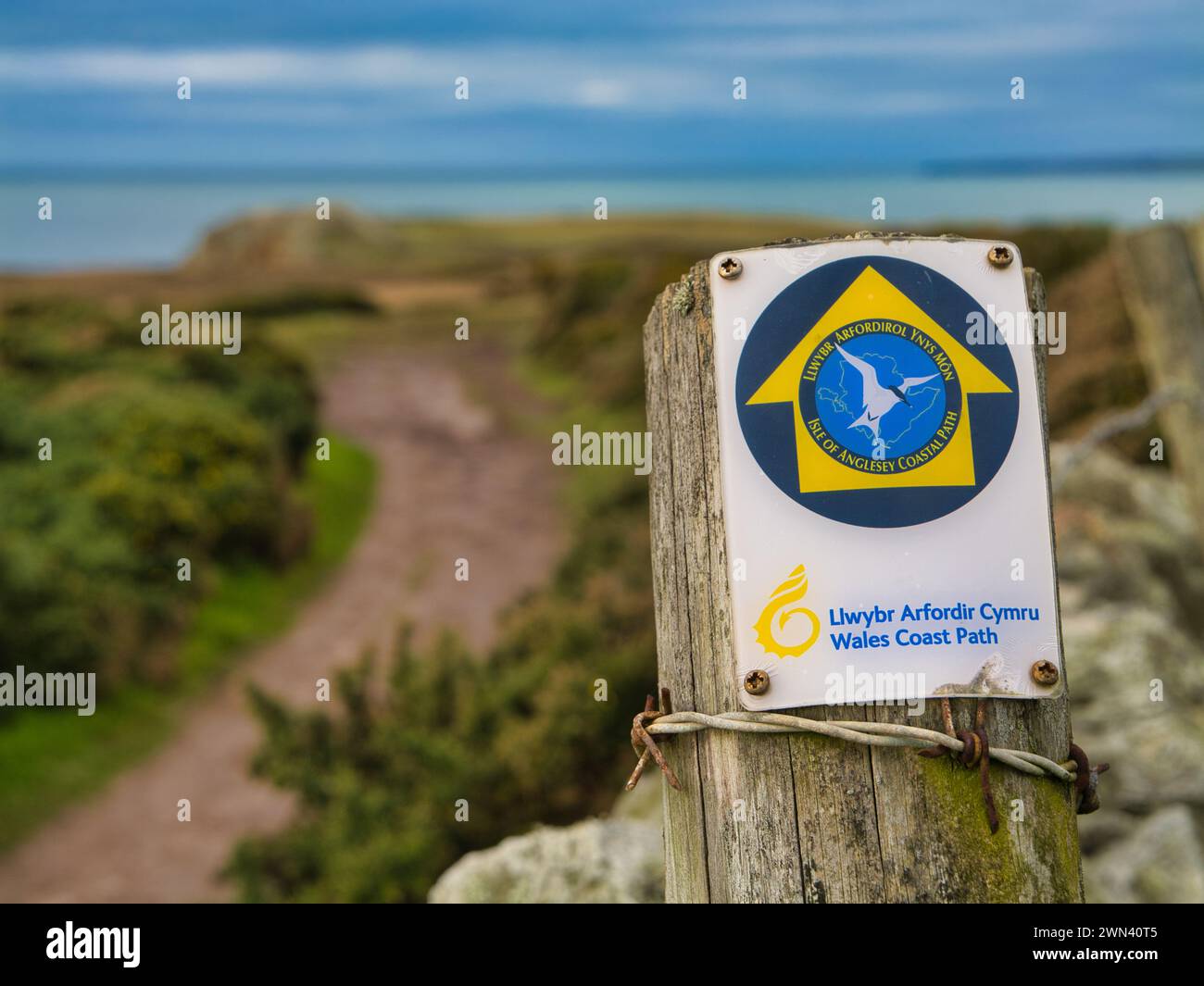 Anglesey, UK - Jan 11 2024: A weathered, wooden sign pointing the way ...