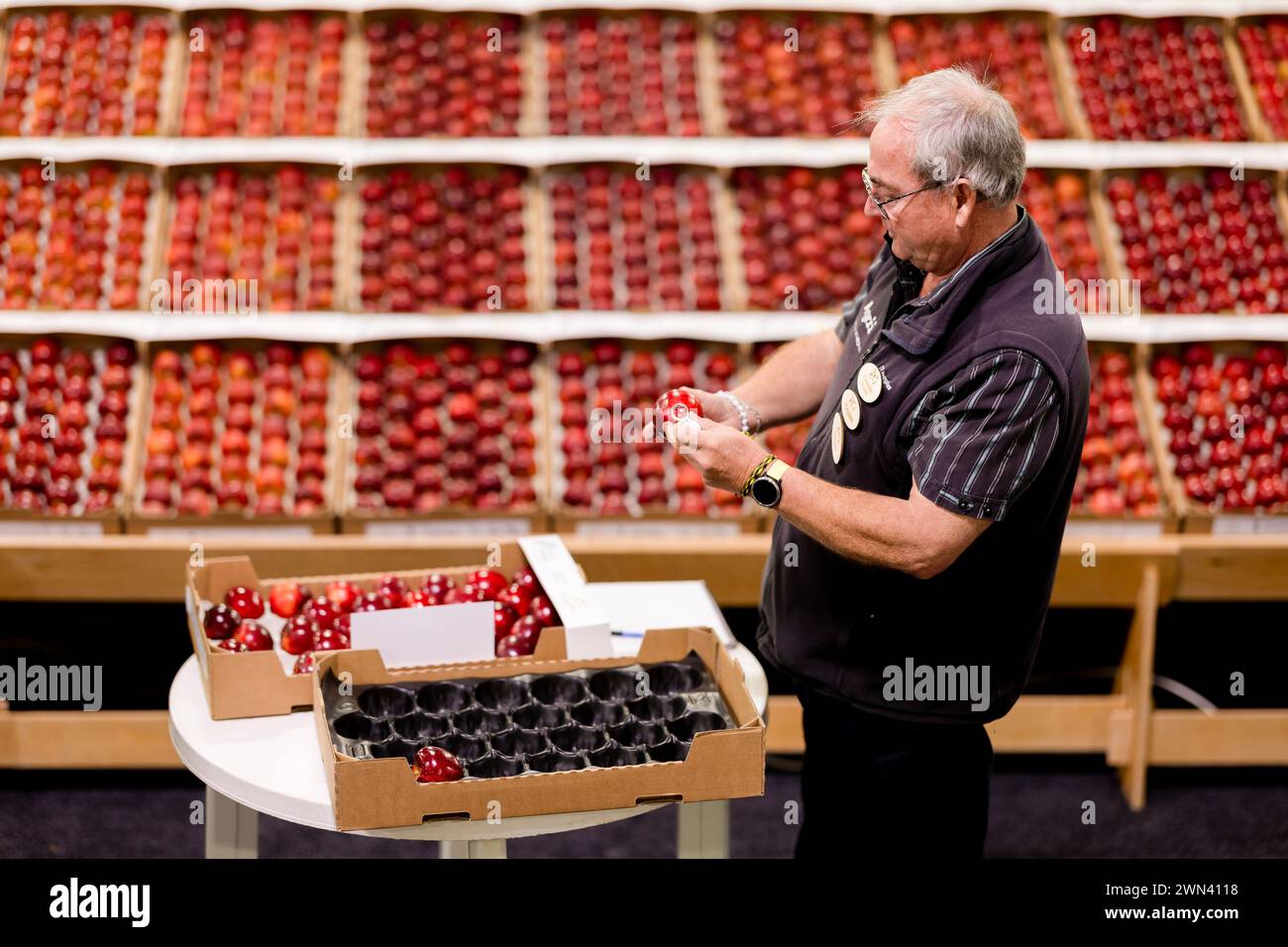 01/11/22 Colin Bird judges one of the 109 entries in the 89th National ...