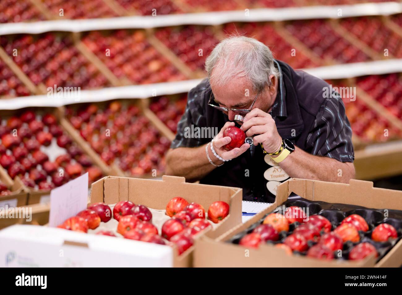 01/11/22 Colin Bird judges one of the 109 entries in the 89th National ...