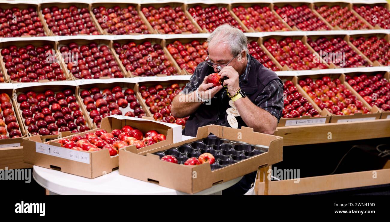 01/11/22 Colin Bird judges one of the 109 entries in the 89th National ...