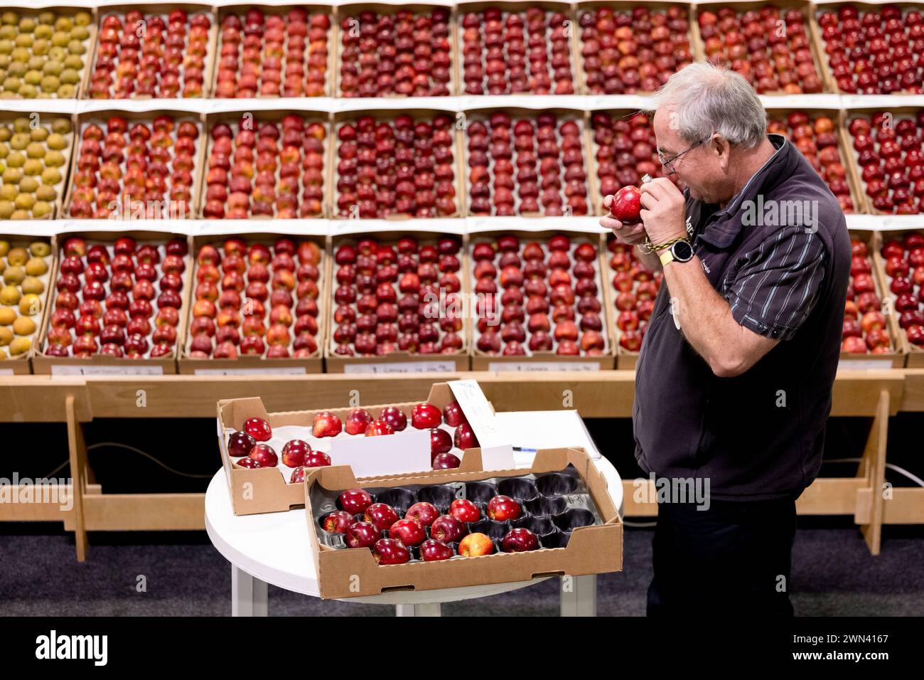 01/11/22 Colin Bird judges one of the 109 entries in the 89th National ...