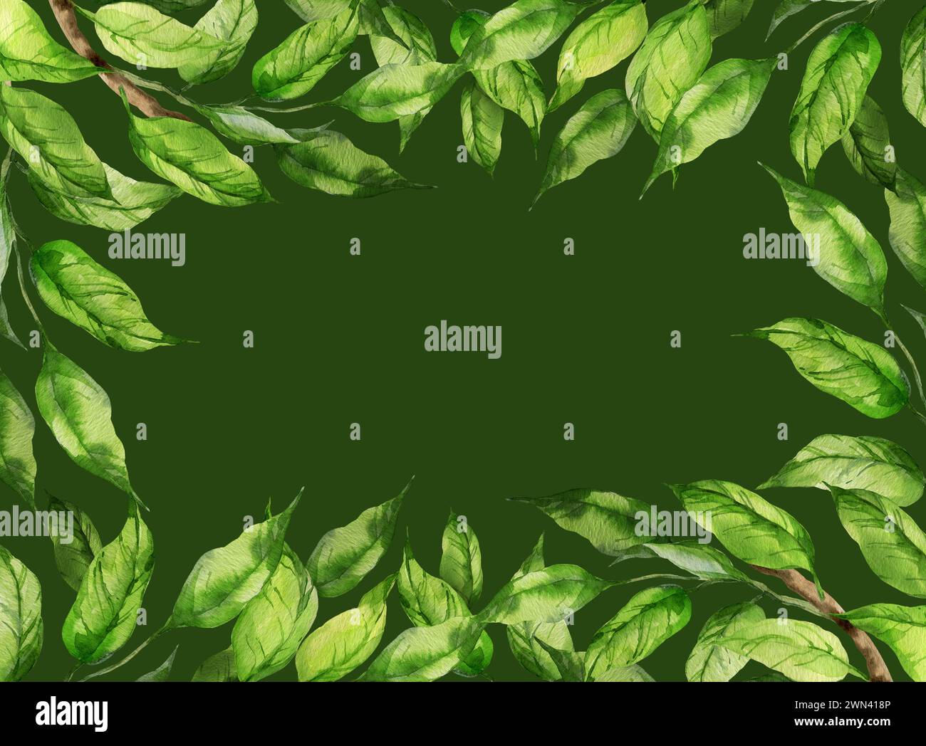 watercolor horizontal frame with illustration of green leaves on a ...