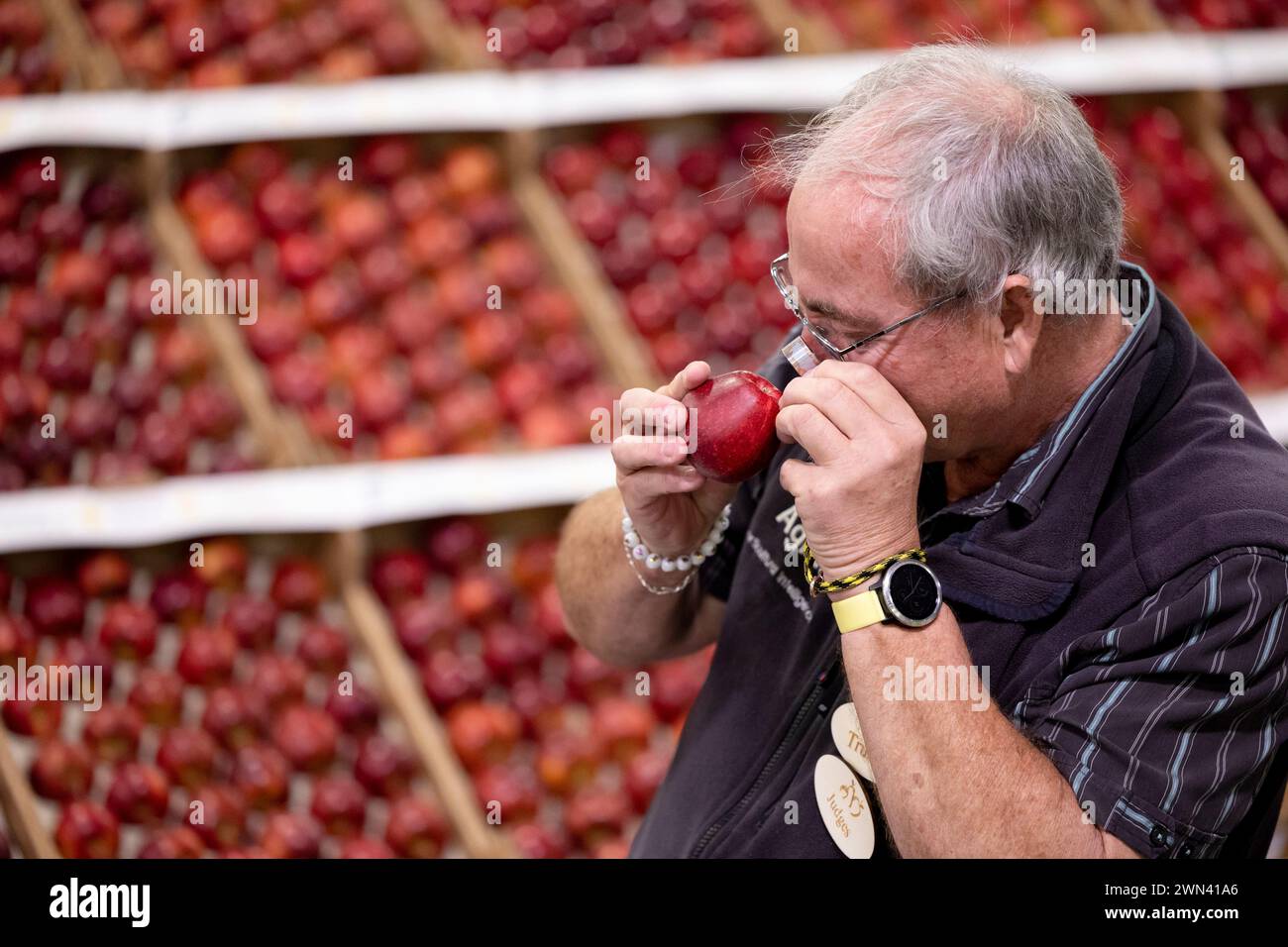 01/11/22 Colin Bird judges one of the 109 entries in the 89th National ...