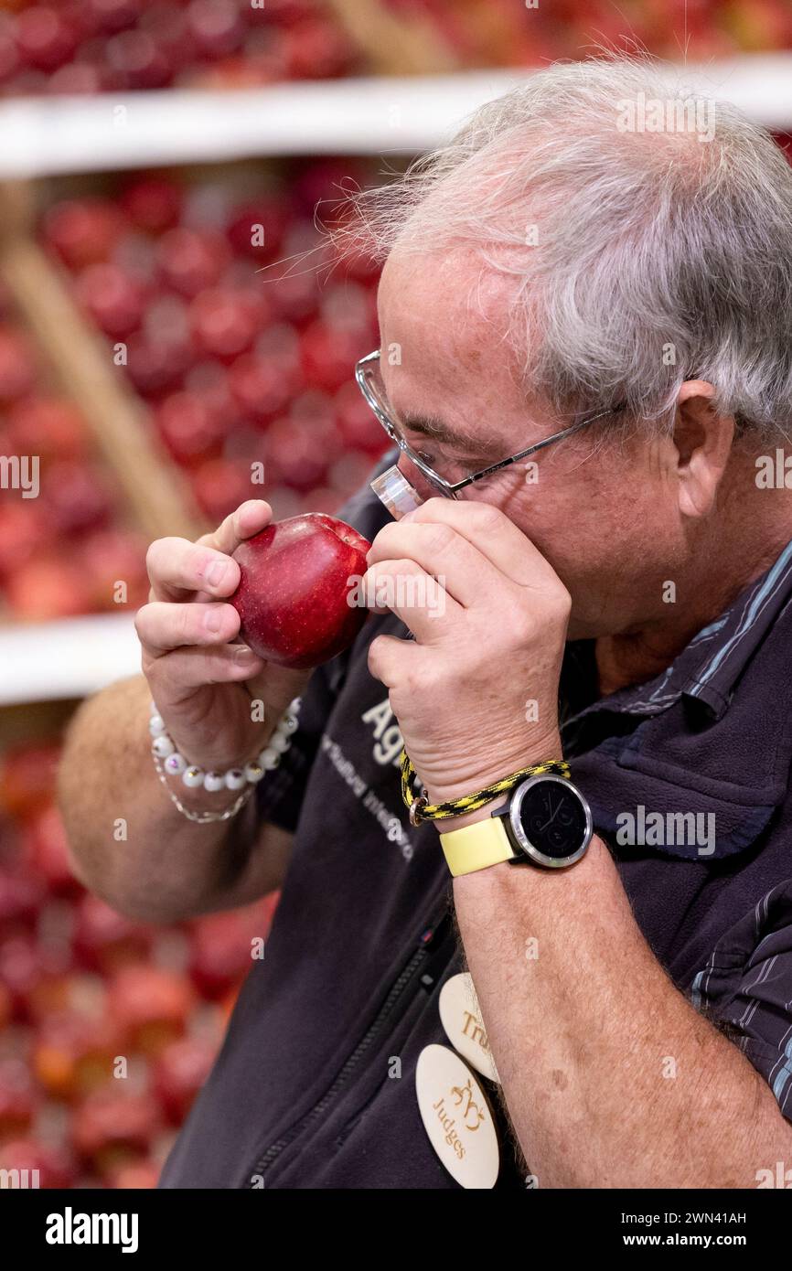 01/11/22 Colin Bird judges one of the 109 entries in the 89th National ...