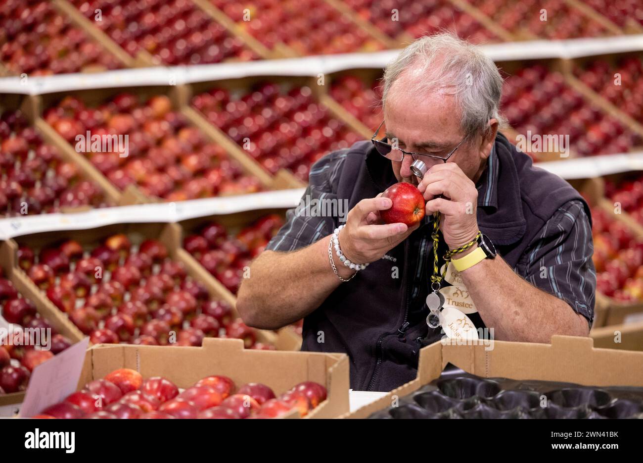 01/11/22 Colin Bird judges one of the 109 entries in the 89th National ...