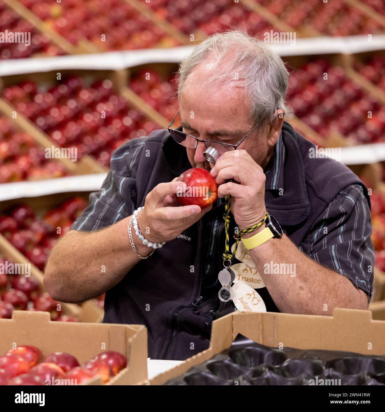 01/11/22 Colin Bird judges one of the 109 entries in the 89th National ...